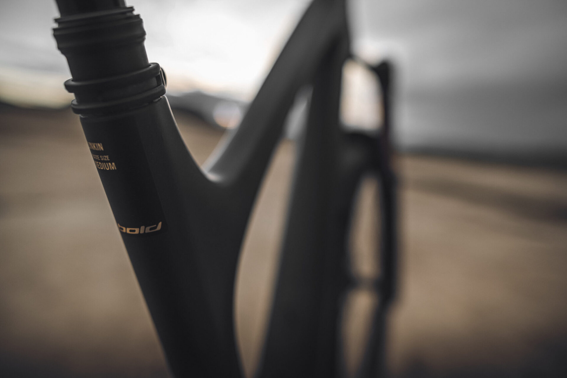 Bold Cycles definiert die Regeln neu! | Bike Shop | Fahrradgeschäft ...